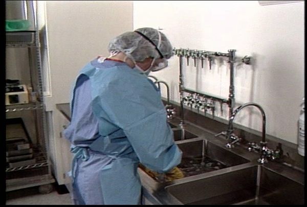 Central sterile services department - The HILLSIDE